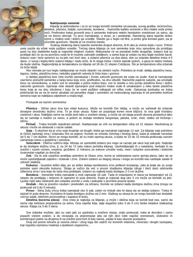 KLICE | PDF