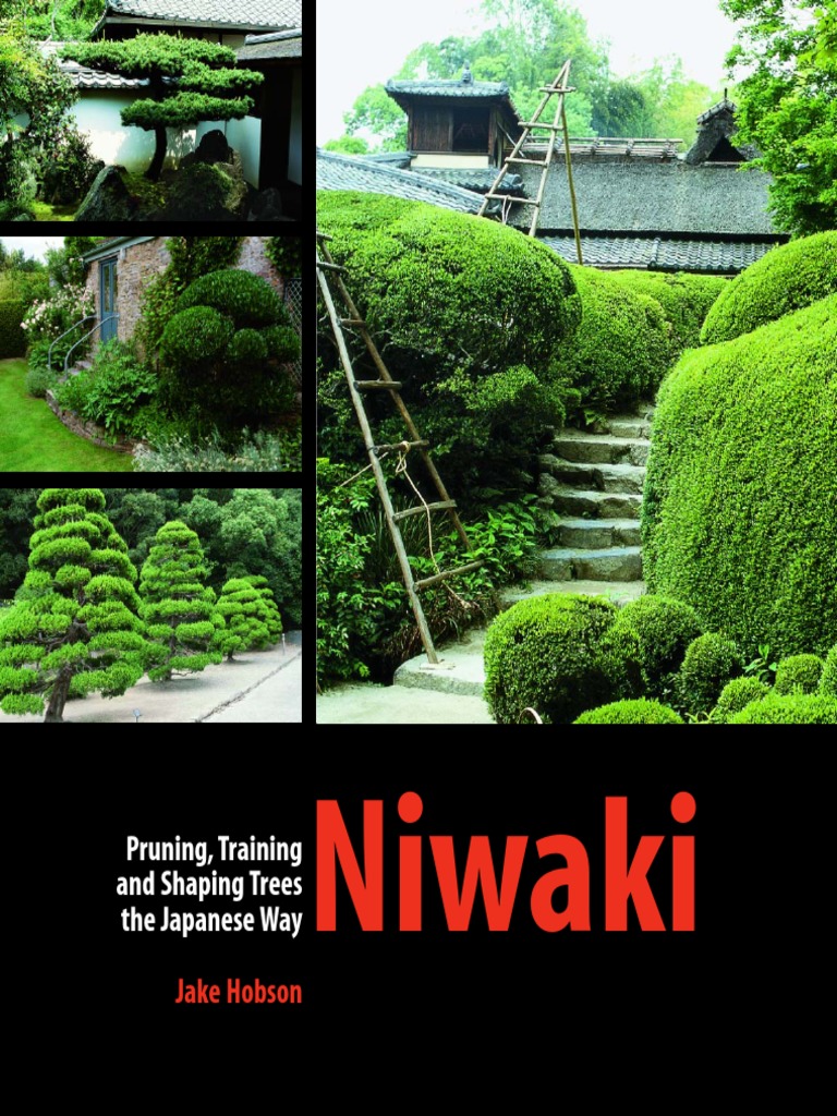 Niwaki Pruning, Training and Shaping Trees The Japanese Way | PDF ...