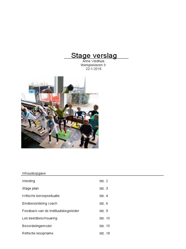 stage verslag