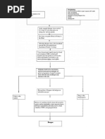 Cellulitis Pathophysiology Overview | PDF | Inflammation | Medical ...