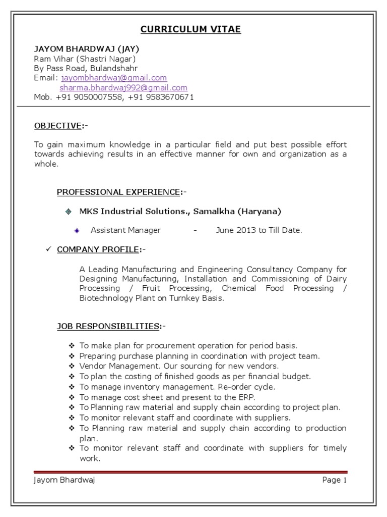 A Detailed Curriculum Vitae Highlighting Jayom Bhardwaj's Professional ...