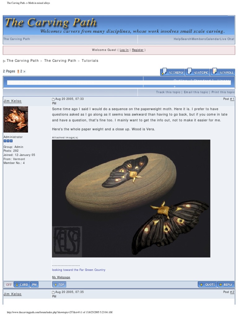Carving - Moth in Mixed Alloys | PDF | Manmade Materials | Nature