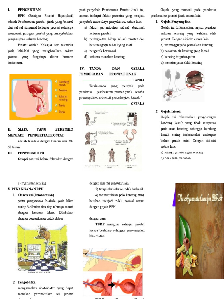 Leaflet BPH | PDF