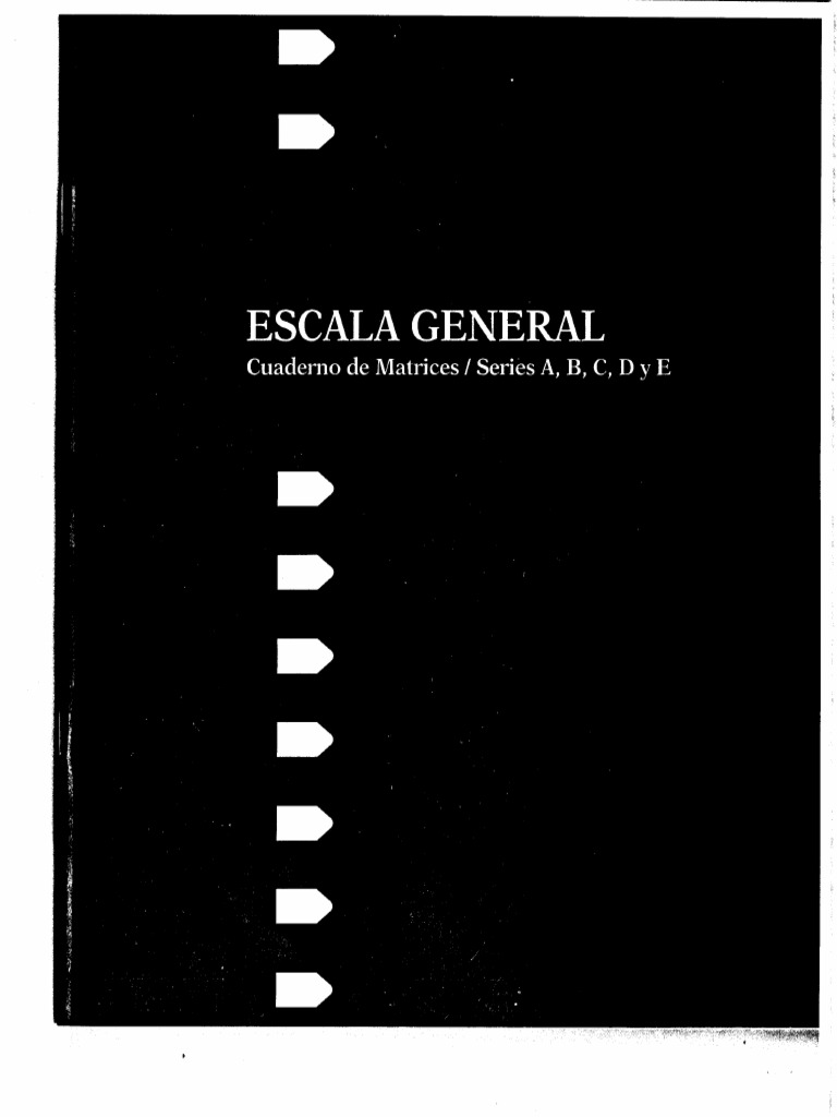 Raven Escala General | PDF