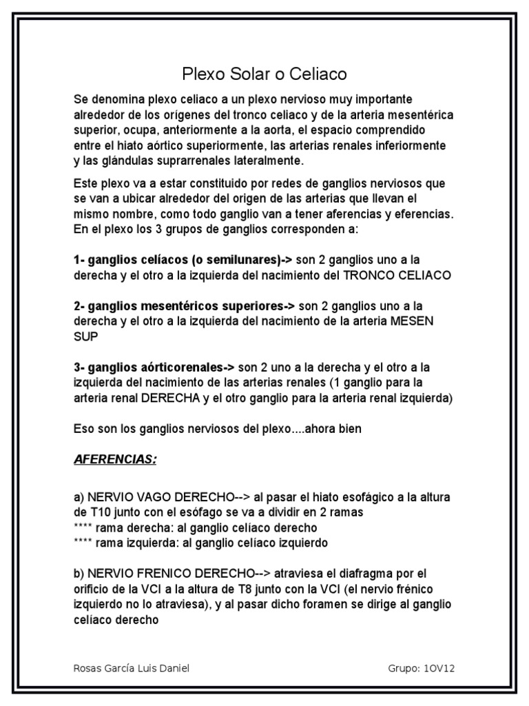 Anatomía del Plexo Solar o Celiaco | PDF | Abdomen | Tórax (anatomía ...