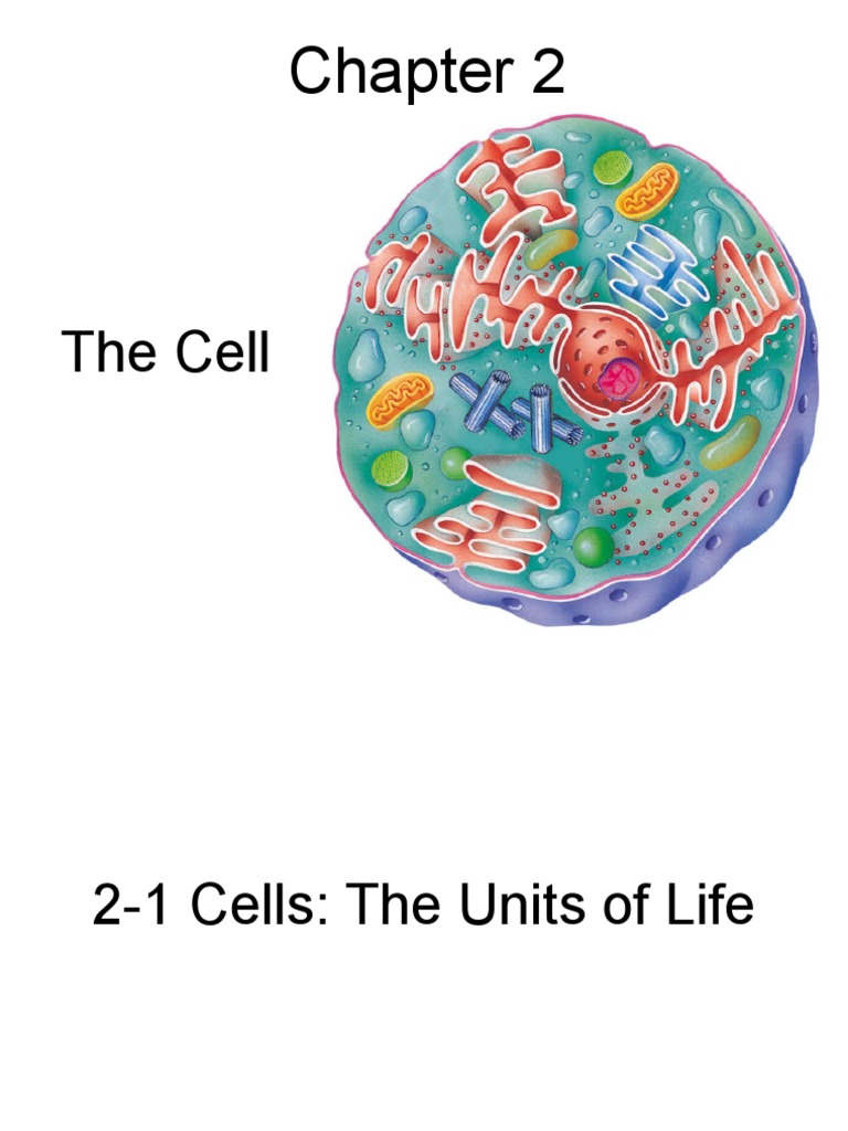 Sains Form 1 Chapter 2 | Cell (Biology) | Cytoplasm