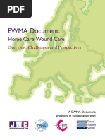 STAR Skin Tear Classification Guide | PDF | Skin | Wound