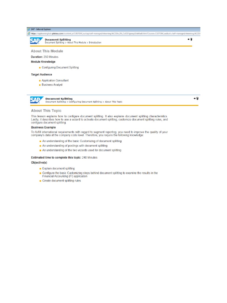 Document Splitting | PDF | Business Process | Profit (Accounting)