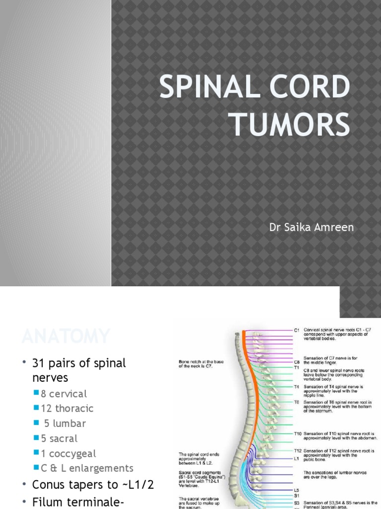 Spinal Cord Tumors | PDF | Vertebral Column | Spinal Cord