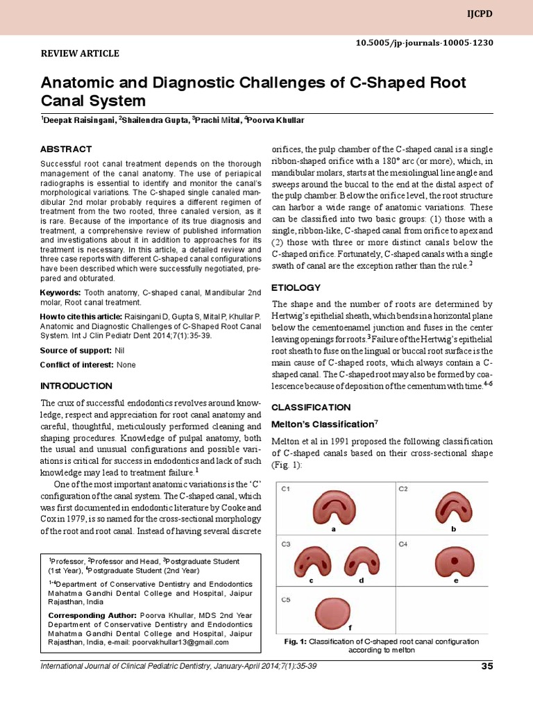 Anatomic and Diagnostic Challenges of C-Shaped Root Canal System | PDF ...