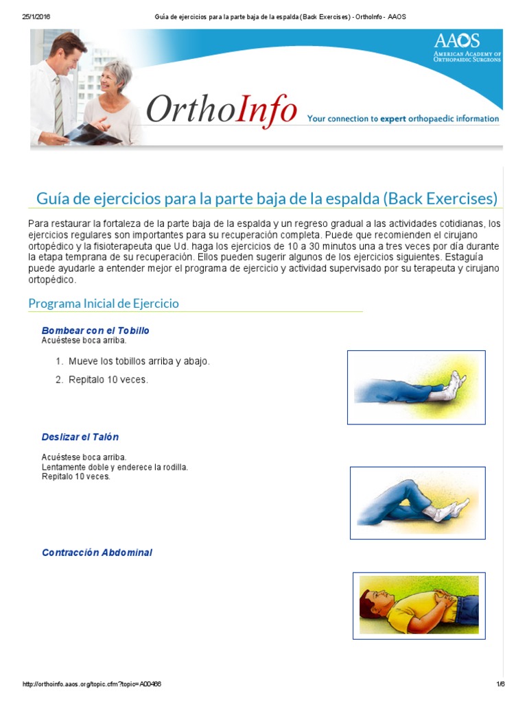 Guía de Ejercicios para La Parte Baja de La Espalda (Back Exercises ...