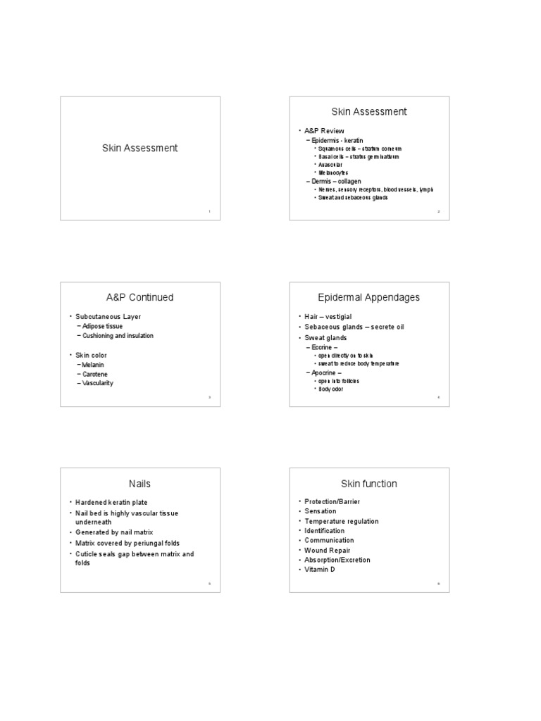 04 Skin Assessment | PDF | Skin | Cutaneous Conditions
