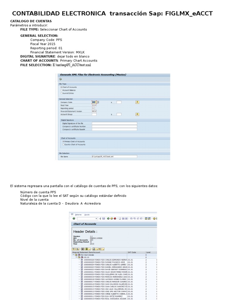Manual de Catalogo de Cuentas y Balanza Sap