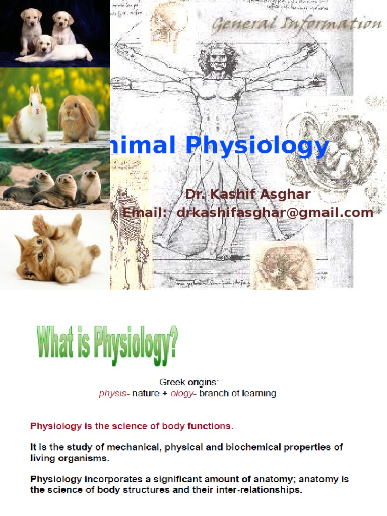 Animal Physiology | Homeostasis | Tissue (Biology)