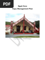 Our Code Our Standards | PDF | Māori People | Demographics Of New Zealand