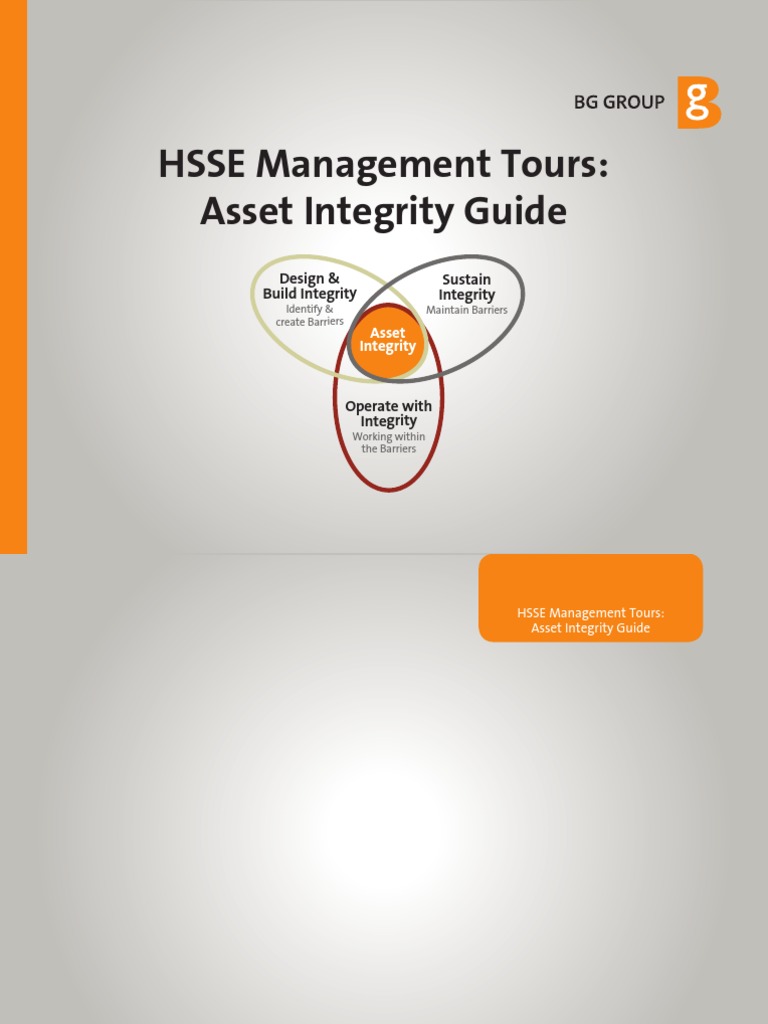 Hsse Asset Integrity Guide | PDF | Control System | Electrostatic Discharge