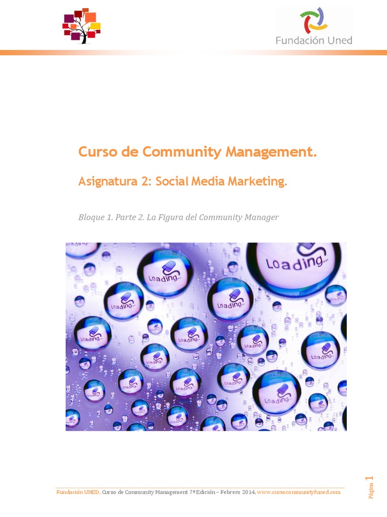 La Figura Del Community Manager Pdf Redes Sociales Cultura