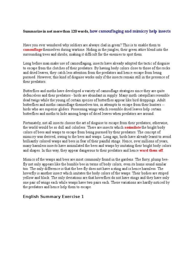 English Summary Writing Exercises PDF Camouflage Lepidoptera