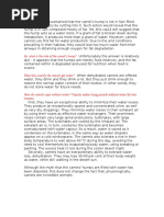 Camel Structural Adaptations Explained | PDF | Camel | Thermoregulation