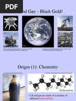 Introduction To The Oil and Gas Industry For Dummies | PDF | Petroleum ...