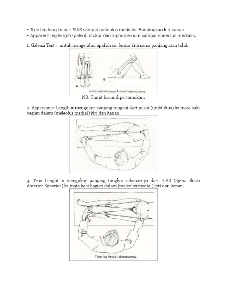 Leg Length Comparison: True vs Apparent | PDF