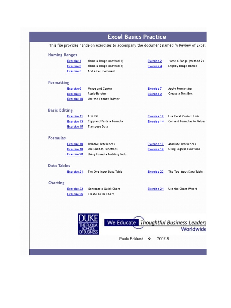 EXCEL BasicsPractice | PDF | Microsoft Excel | Human–Computer Interaction