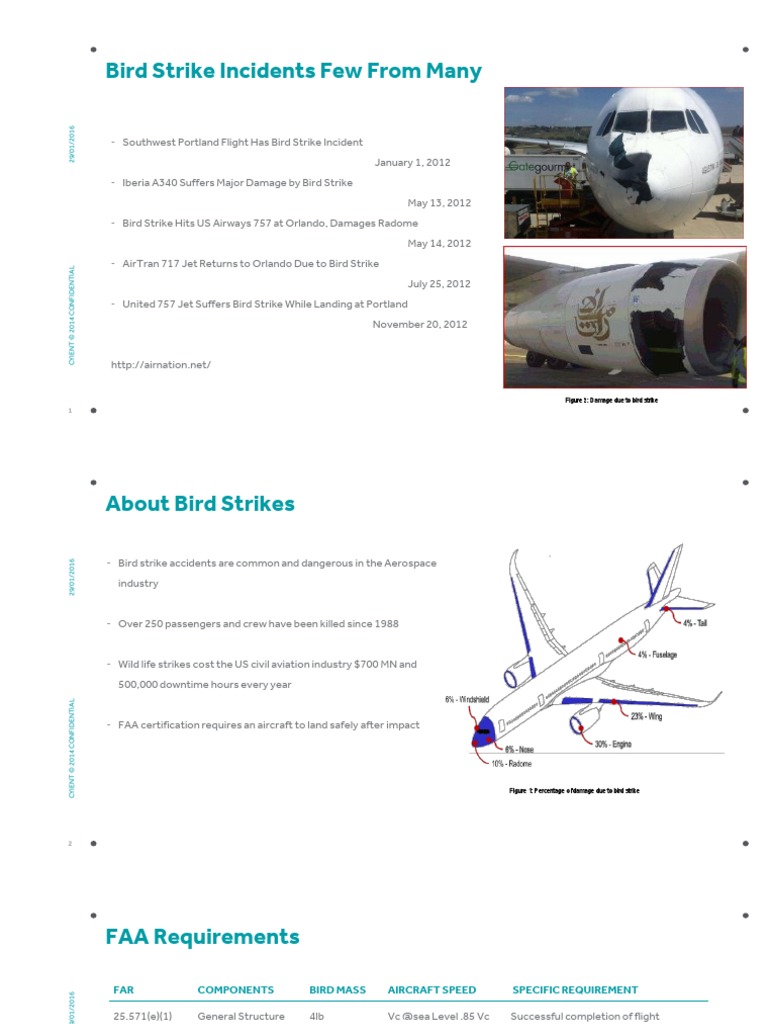 Bird Strike Methodology PDF | PDF | Finite Element Method | Fluid Dynamics
