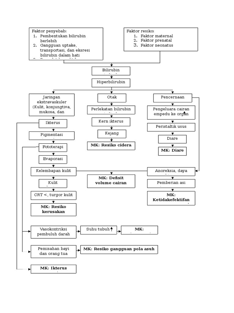 hiperbilirubin PATOFISIOLOGI