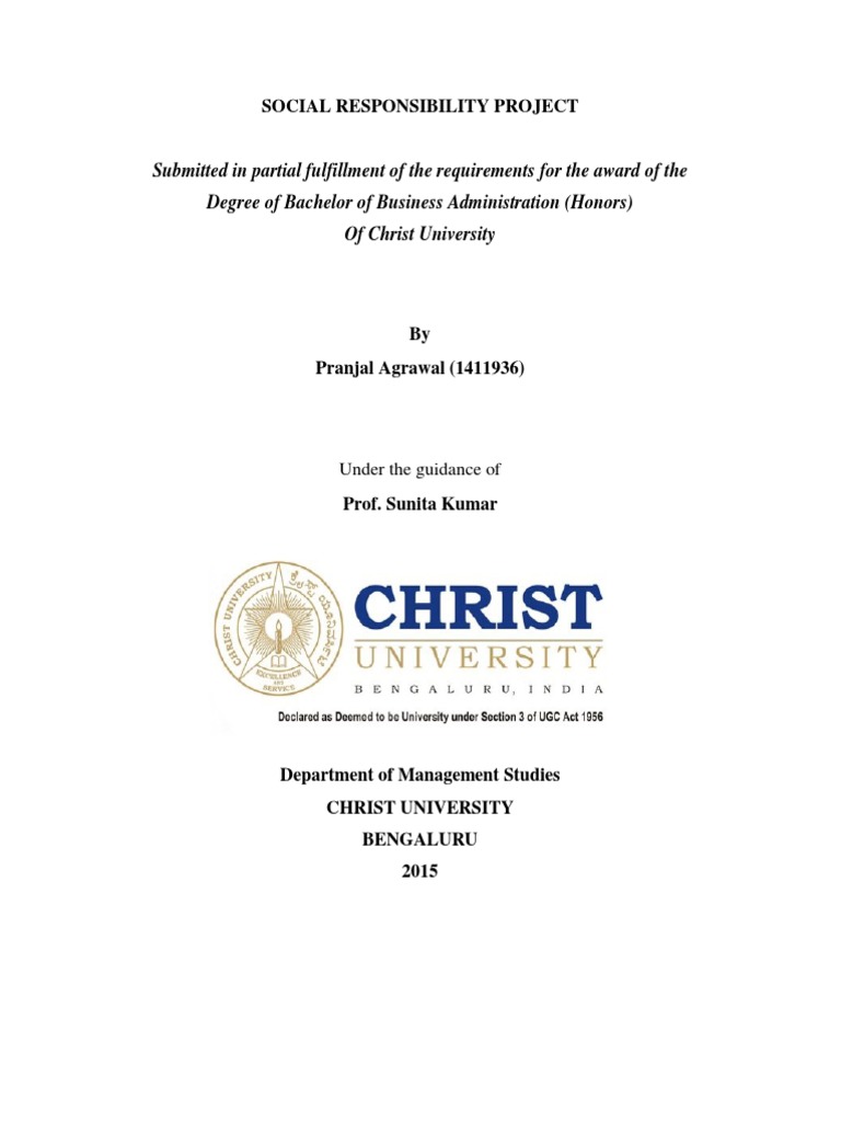 Social Responsibility Project | Corporate Social Responsibility ...