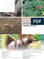 Tree Planting Activity Design | PDF | Trees | Conservation (Ethic)