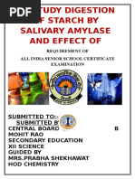 60 KLPD Grain-Based Distillery - A Snapshot | PDF | Distillation | Brewing