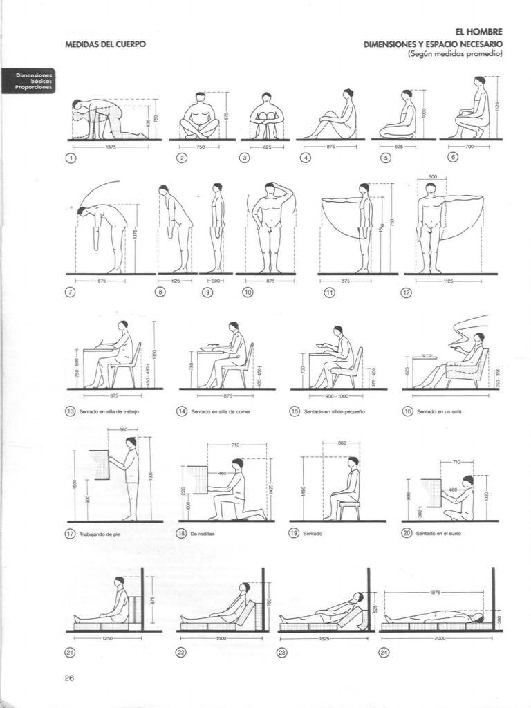 Neufert - Dimensiones y Espacio Necesario | PDF