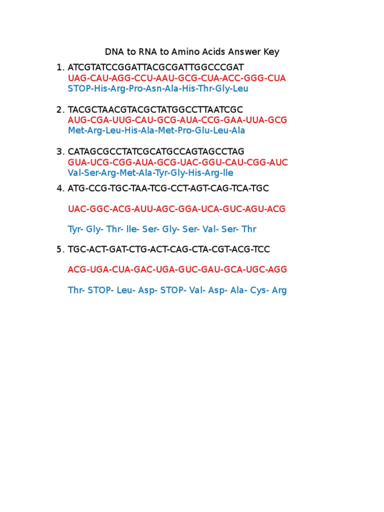 DNA to RNA Conversion Guide | PDF | Science & Mathematics | Computers