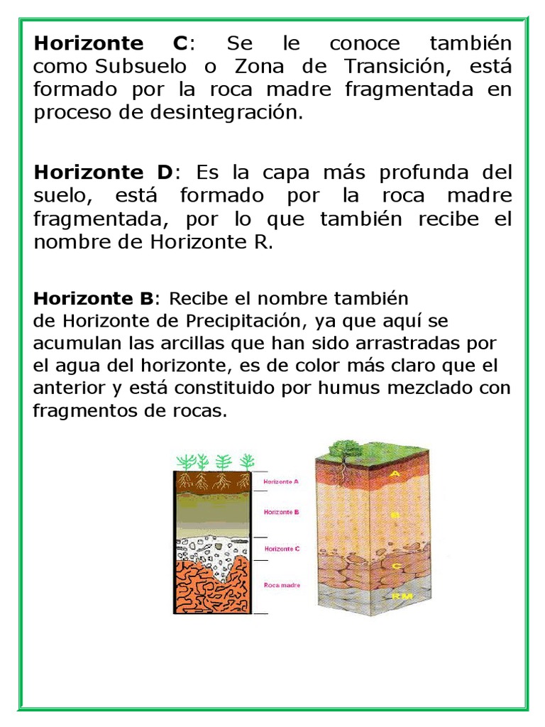 Horizonte Ciencias Naturales | PDF
