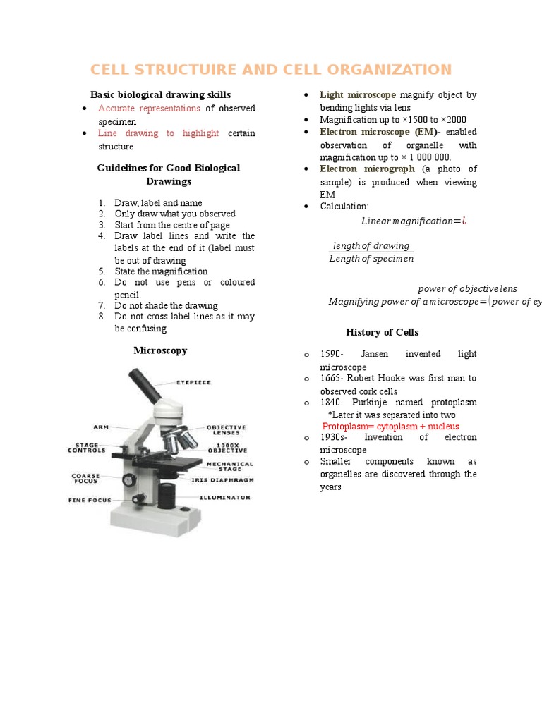 Cell Structuire and Cell Organization: Basic Biological Drawing Skills ...