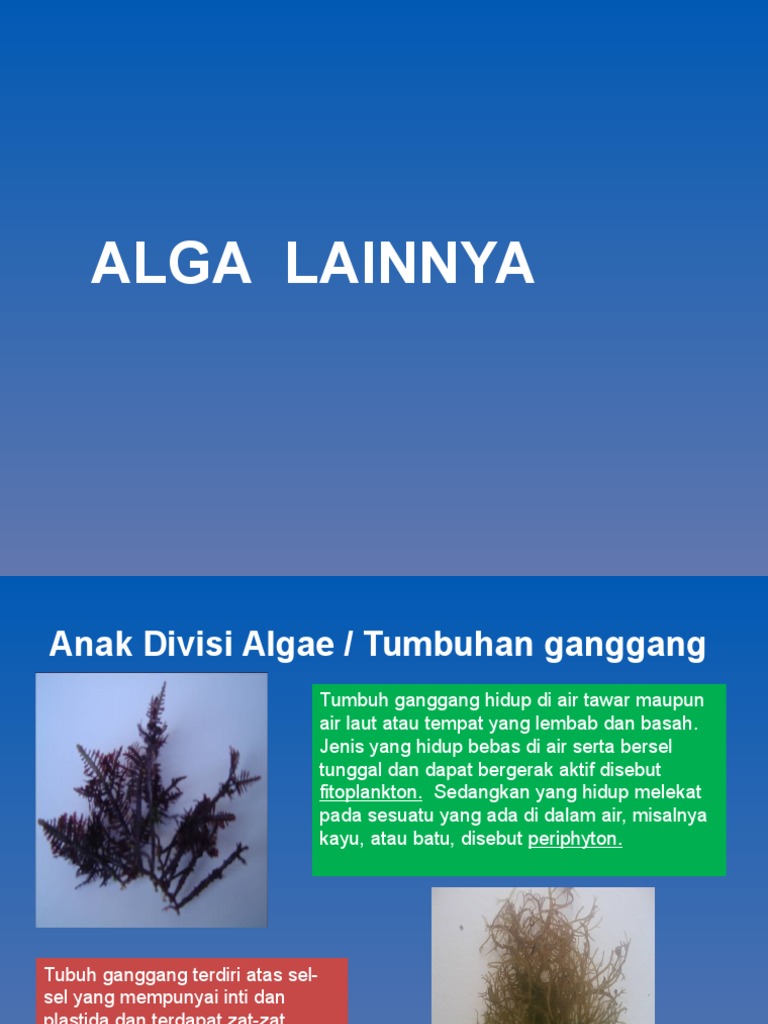 Alga Multiseluler | PDF
