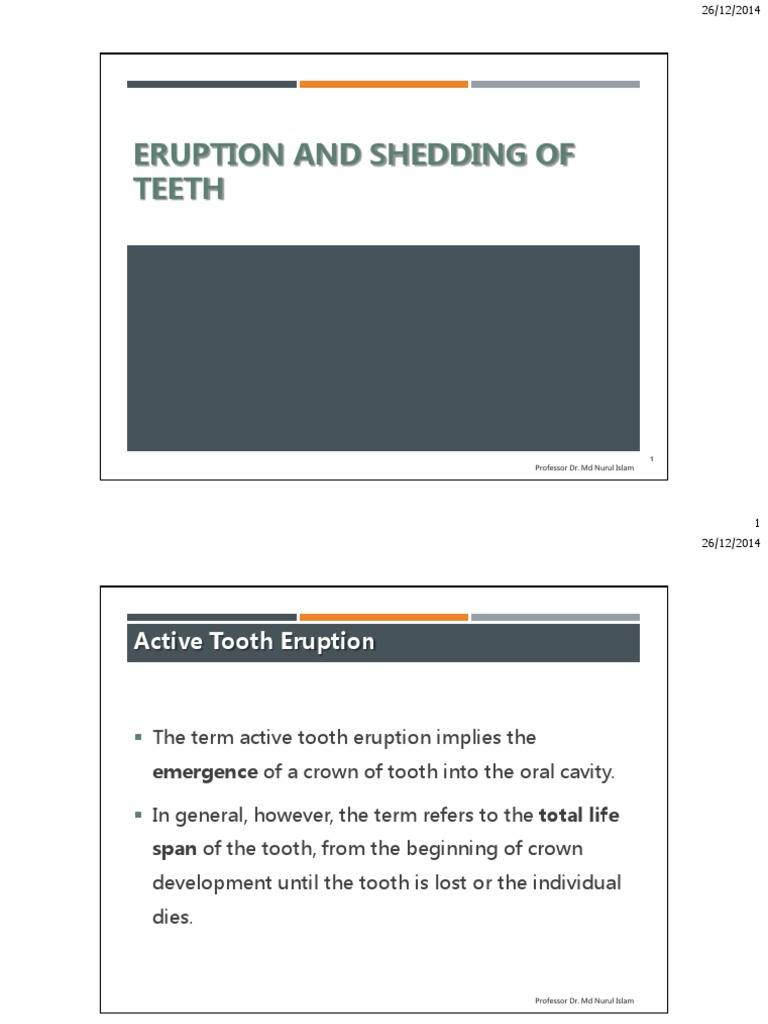 Eruption and Shedding of Teeth - 2014 | PDF | Human Tooth | Tooth