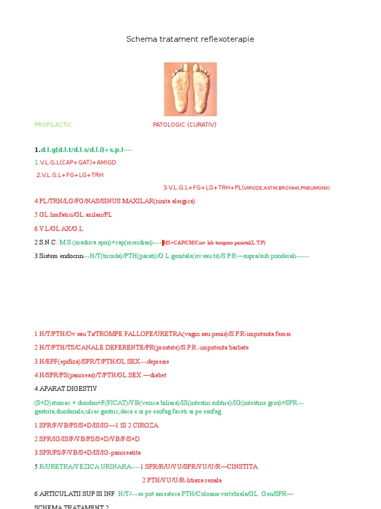 Schema Tratament | PDF