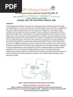 Small Scale Mining Business Proposal | PDF | Net Present Value | Mining