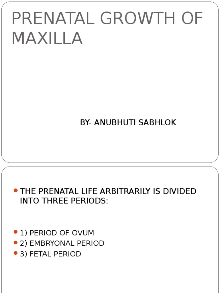 Prenatal Growth of Maxilla | PDF | Reproduction | Anatomy