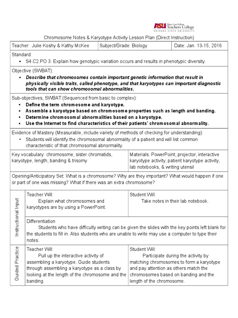 Karyotype Activity and Chromosome Notes | PDF | Karyotype | Chromosome