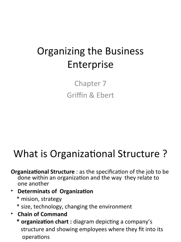 Organizing The Business Enterprise - PPT CH 7 | PDF | Organizational ...
