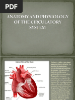 Pathophysiology of HCVD DM2 CVD Left Basal Ganglia | PDF | Blood Vessel | Cardiovascular System