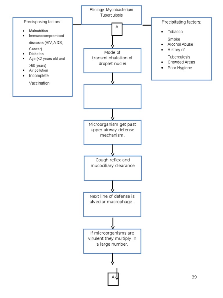 Tb PathoPhysiology | Tuberculosis | Medical Specialties