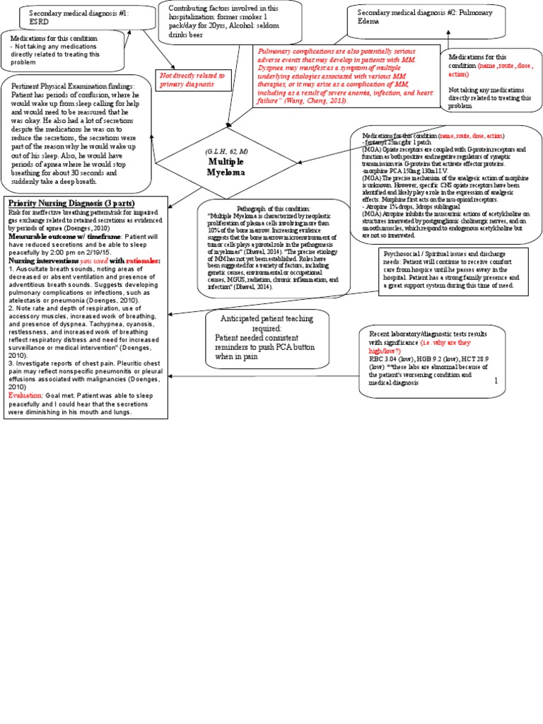 Concept Map Safe Quality Ebp Care | PDF | Acetylcholine | Multiple Myeloma