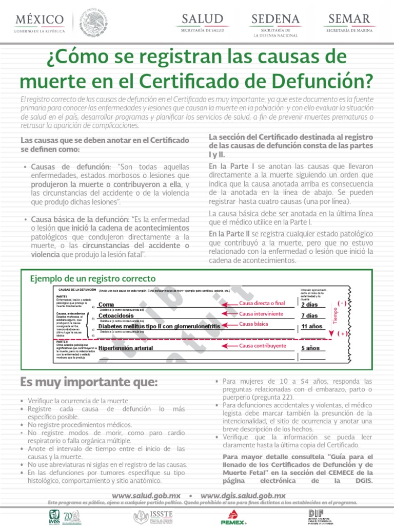 Como Se Registran Las Causas De Muerte En El Certificado De Defuncion Pdf Muerte