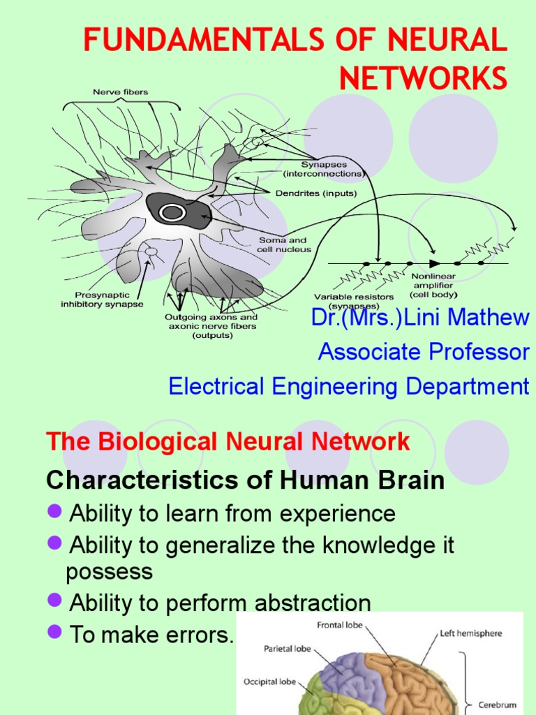 Neural Networks Fundamentals Overview | PDF | Neuron | Axon