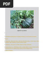 KALENDARYO NG Pagtatanim | PDF