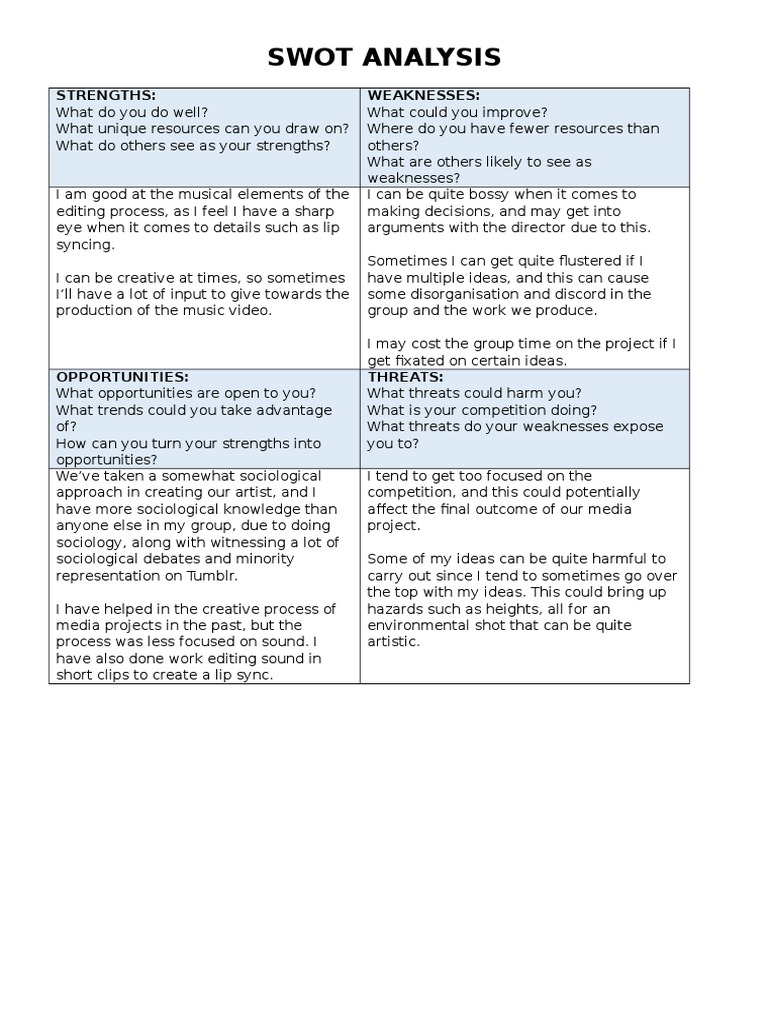Music Video Production SWOT | PDF