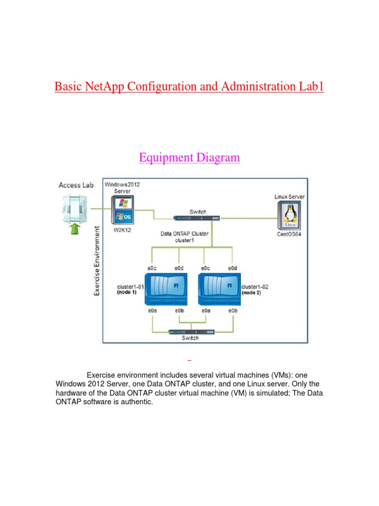 NetApp ONTAP Lab Configuration Guide | PDF | Computer Cluster | Command ...